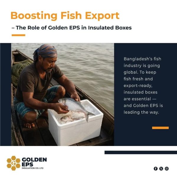Bangladesh’s Fish Are Going Global — Powered by Golden EPS! - Golden EPS
